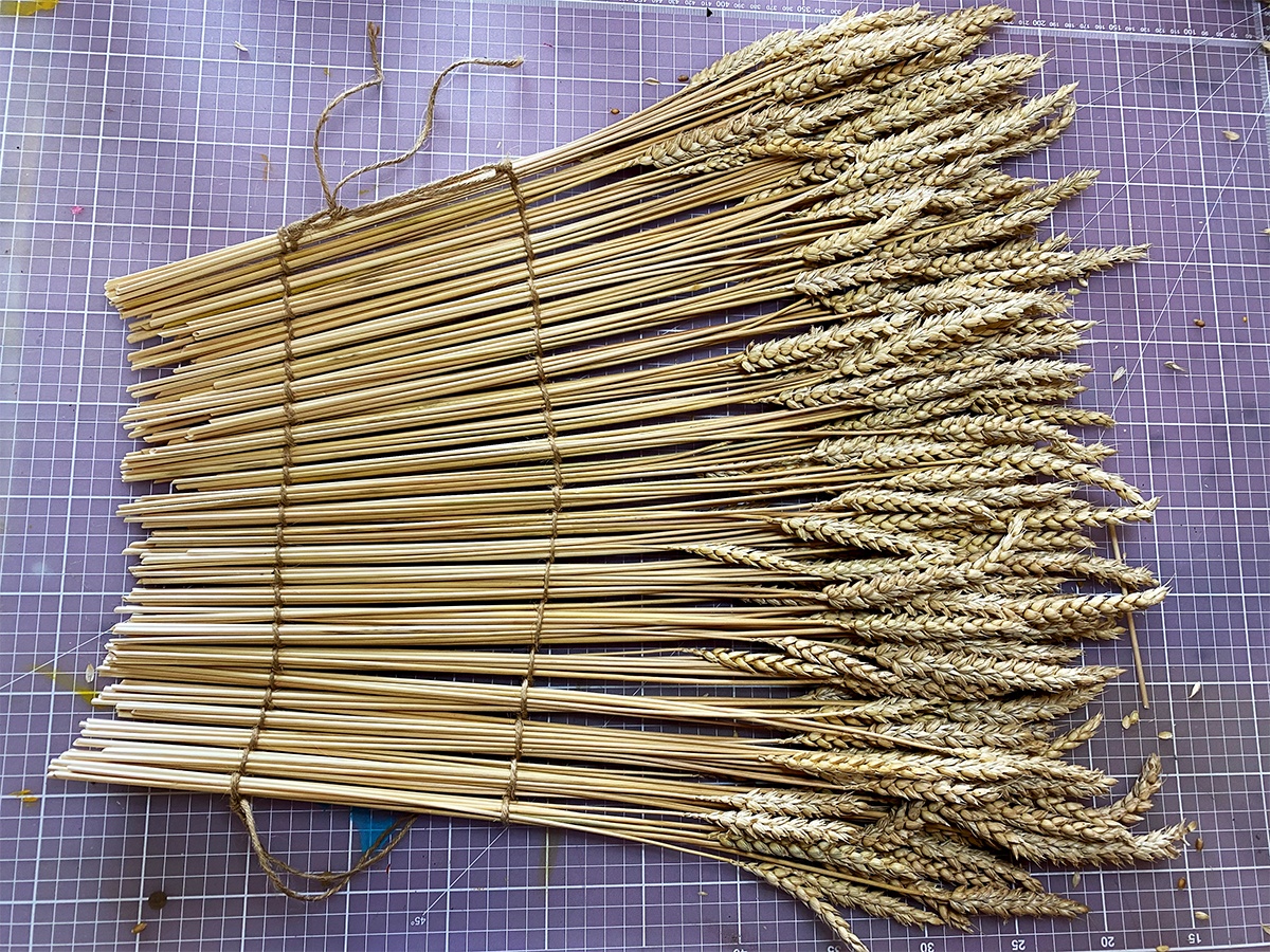 Costumes Gallery - Dr. Mikey Tomkins