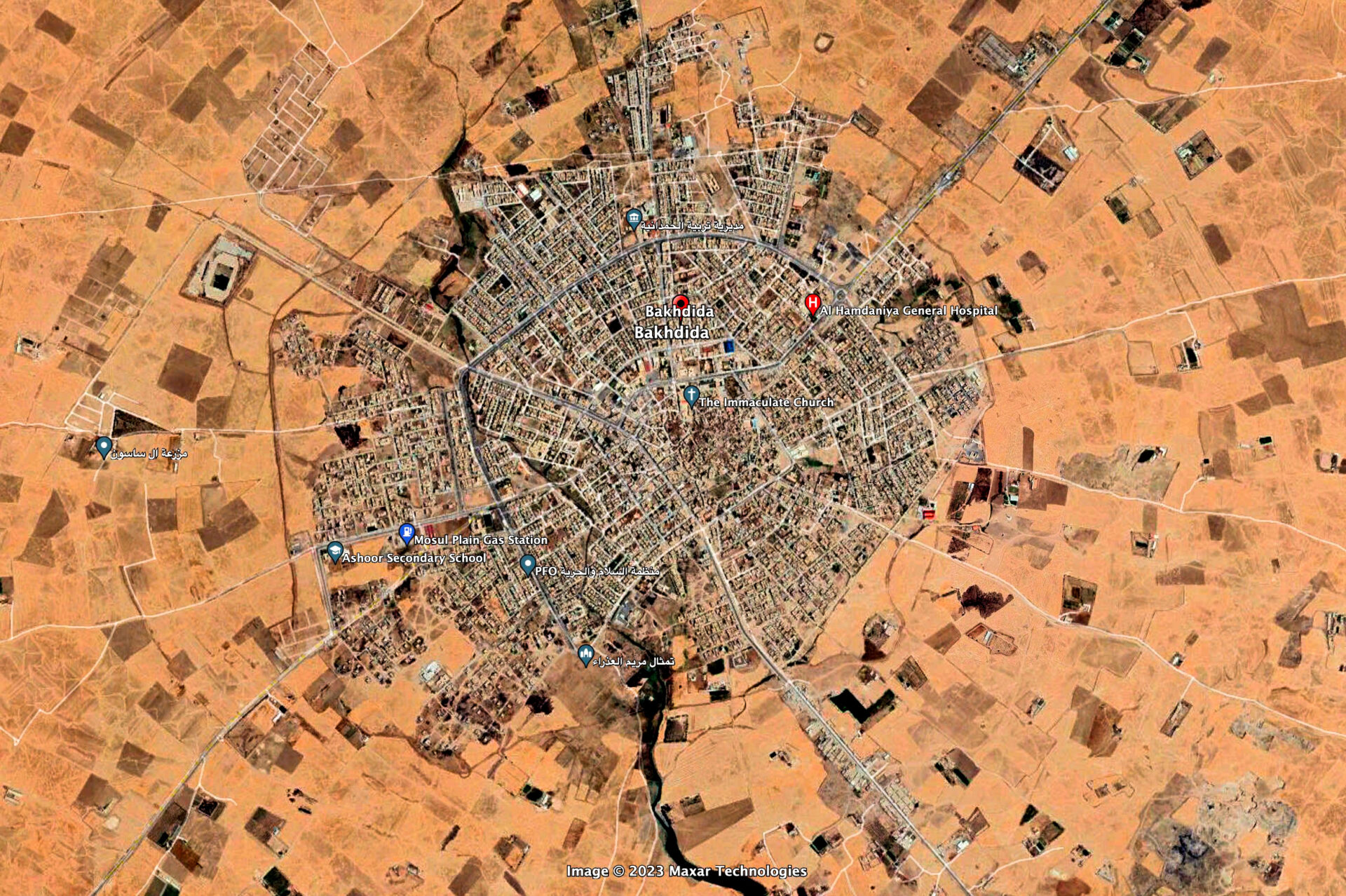 Hydroponics in Qaraqosh, Iraq - Dr. Mikey Tomkins